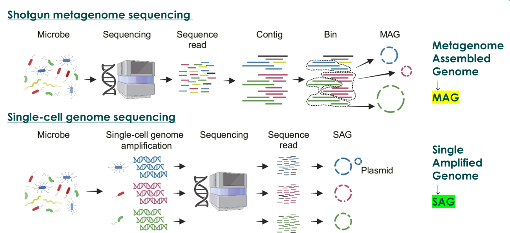 bitBiome has been granted a patent for a unique single-cell sequencing platform. - bitBiome